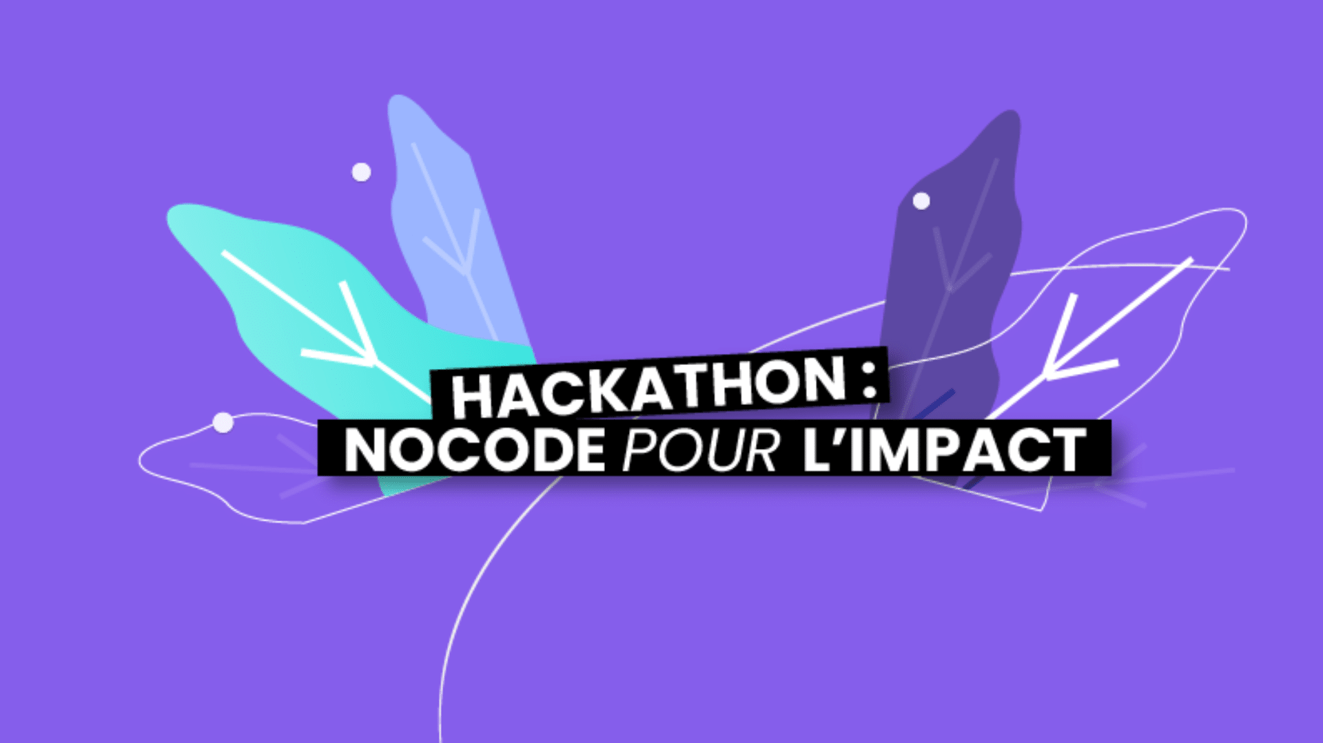 Hackathon NoCode pour l'impact : Notre panel de mentors ????‍???? - La Cantine X La French Tech ...
